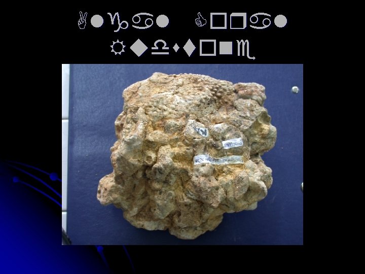 PETROLOGI BATUAN KARBONAT hrahmadiyahoo com alfarisisalmanyahoo co id