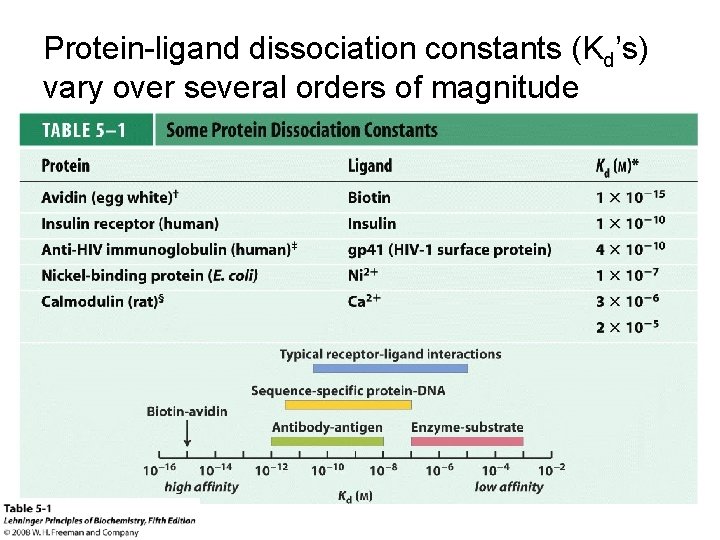 A protein binds a ligand through a specific