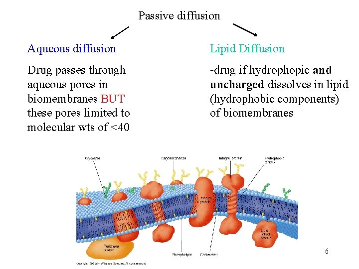 59 291 Section 1 Lecture 2 PHARMACOKINETICS DRUG