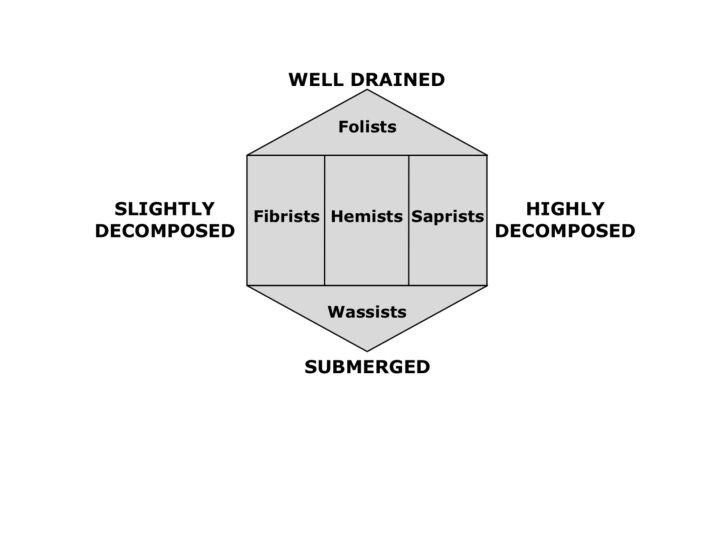 Gelisol Suborders Histels Gelisols with large quantities of