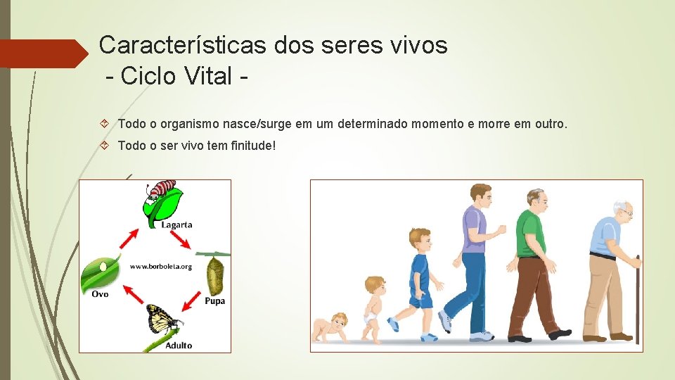 Caractersticas gerais dos seres vivos Biologia 1 Srie