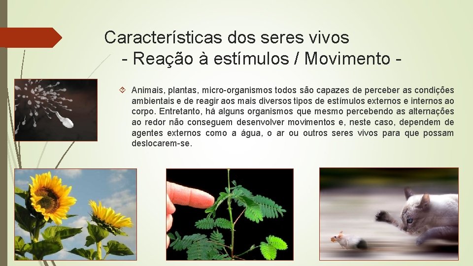 Caractersticas gerais dos seres vivos Biologia 1 Srie