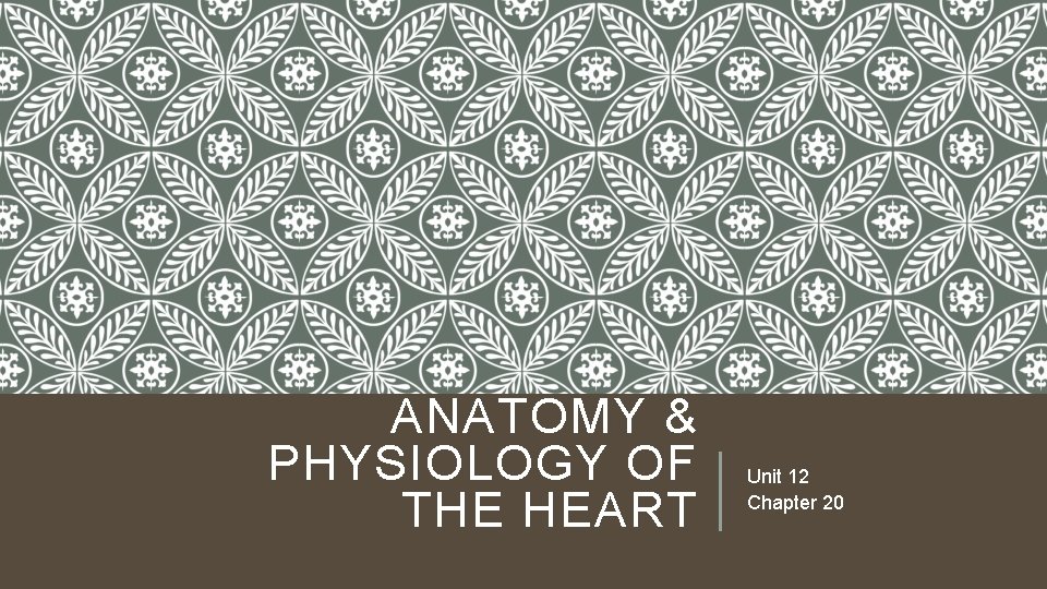 ANATOMY PHYSIOLOGY OF THE HEART Unit 12 Chapter