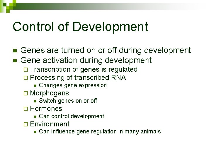 Stages of Human Development 1 2 Fertilization Embryo