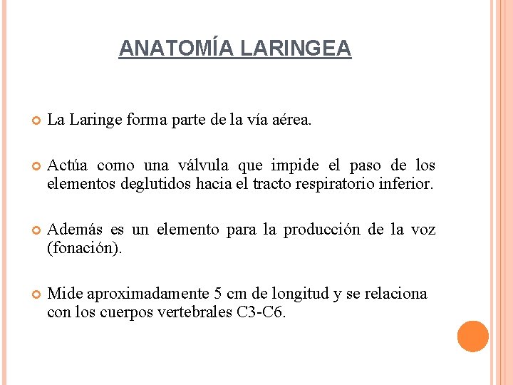 UNIDAD 5 ANATOMIA LARINGEA ANATOMA LARINGEA La Laringe