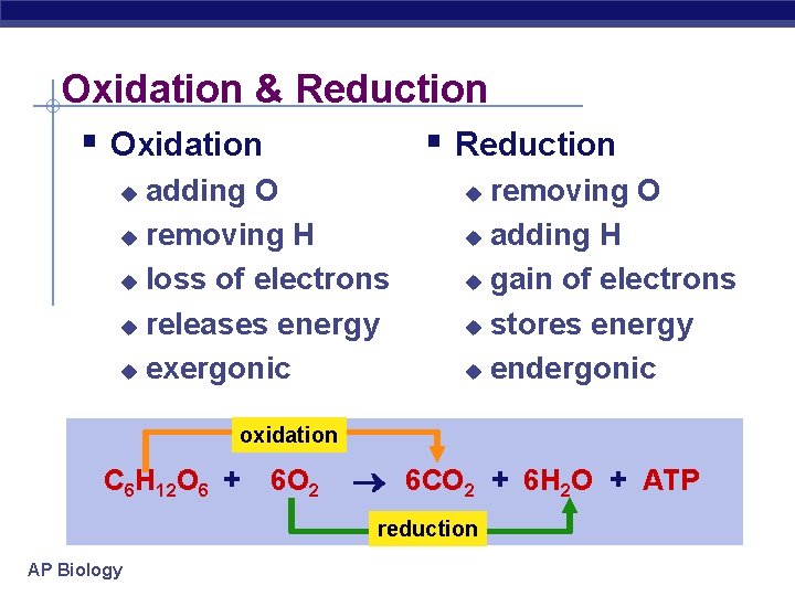Cellular Respiration Harvesting Chemical Energy AP Biology Harvesting