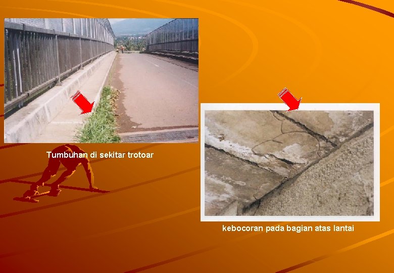 CONTOH KASUS PEMELIHARAAN RUTIN DAN BERKALA Tanaman liar