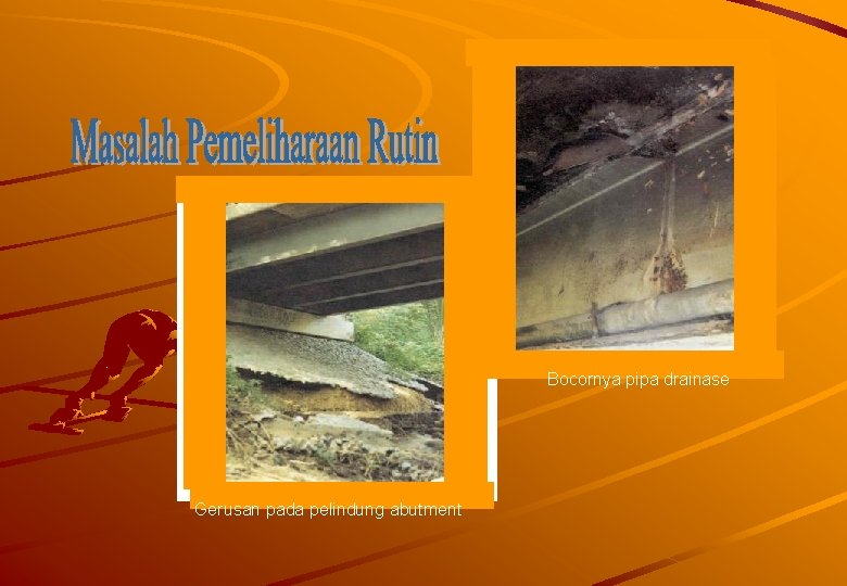 CONTOH KASUS PEMELIHARAAN RUTIN DAN BERKALA Tanaman liar