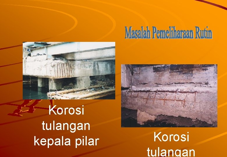 CONTOH KASUS PEMELIHARAAN RUTIN DAN BERKALA Tanaman liar