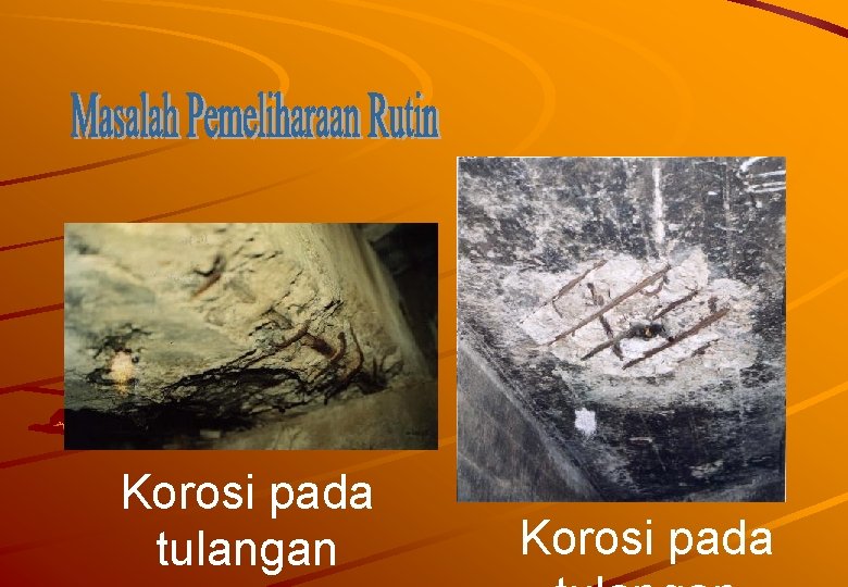 CONTOH KASUS PEMELIHARAAN RUTIN DAN BERKALA Tanaman liar