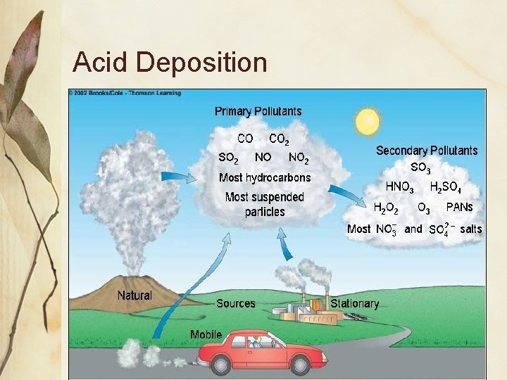 Plant Ecology Chapter 21 Global Change Humans Plants