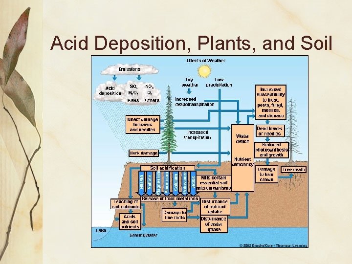 Plant Ecology Chapter 21 Global Change Humans Plants