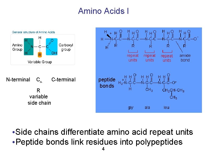 Biomedical Data Science Mining and Modeling Protein Structure
