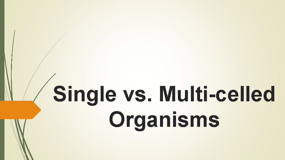 Single vs Multicelled Organisms All Life is categorized