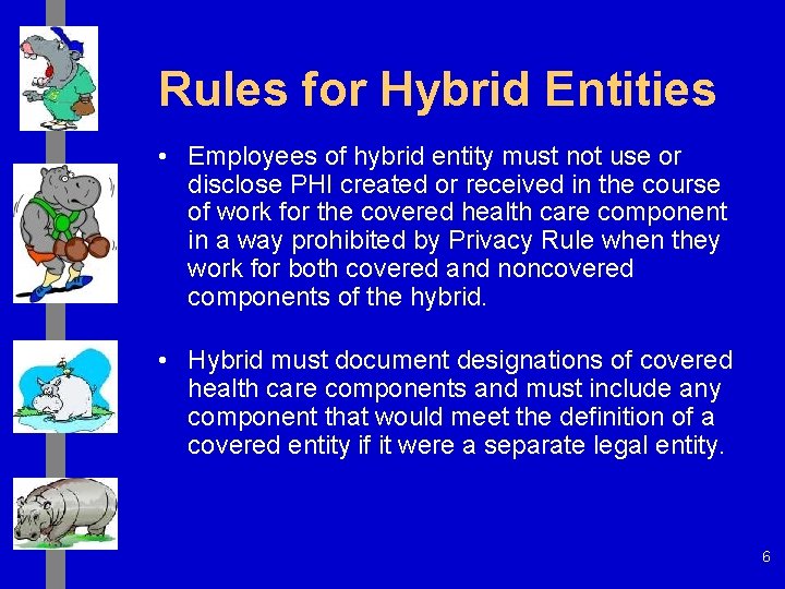 Implementing Privacy in a Large Hybrid Entity Presented