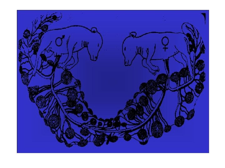 Les principales pathologies gnitales de la gnisse Prof