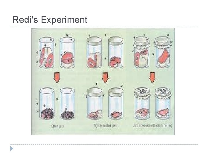 Honors Biology Chapter 1 Section 2 How Scientists