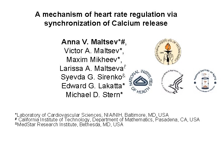 A mechanism of heart rate regulation via synchronization