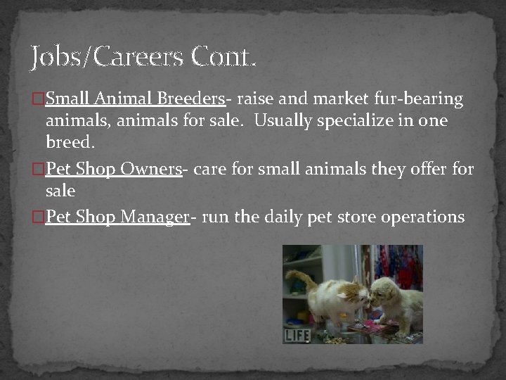 The Small Animal Care Industry Ms Robinson Benefits