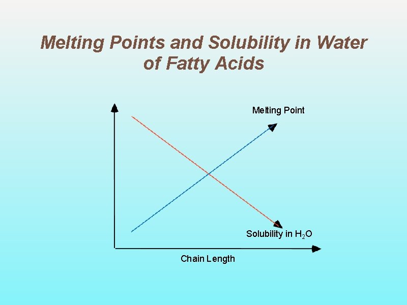 Department of Biochemistry Foundation Module Phase 1 Lipids