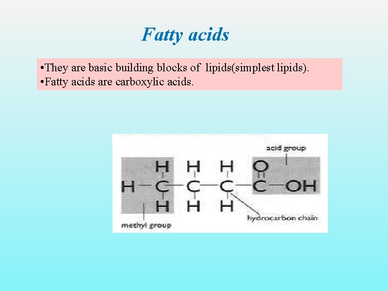 Department of Biochemistry Foundation Module Phase 1 Lipids
