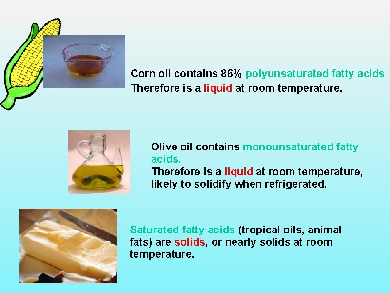 Department of Biochemistry Foundation Module Phase 1 Lipids