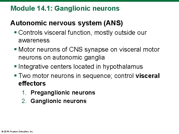 14 The Autonomic Nervous System Lecture Presentation by