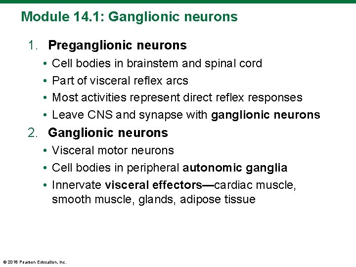 14 The Autonomic Nervous System Lecture Presentation by