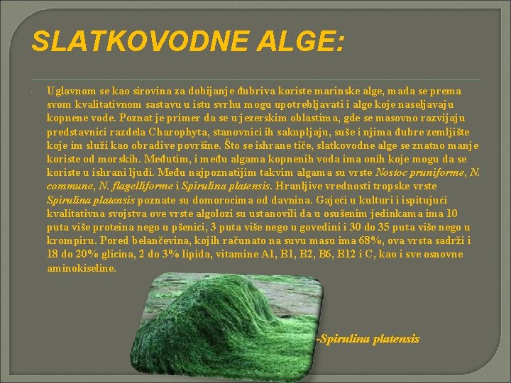 ZNAAJ ALGI I NJIHOVA PRIMENA Upotreba algi u