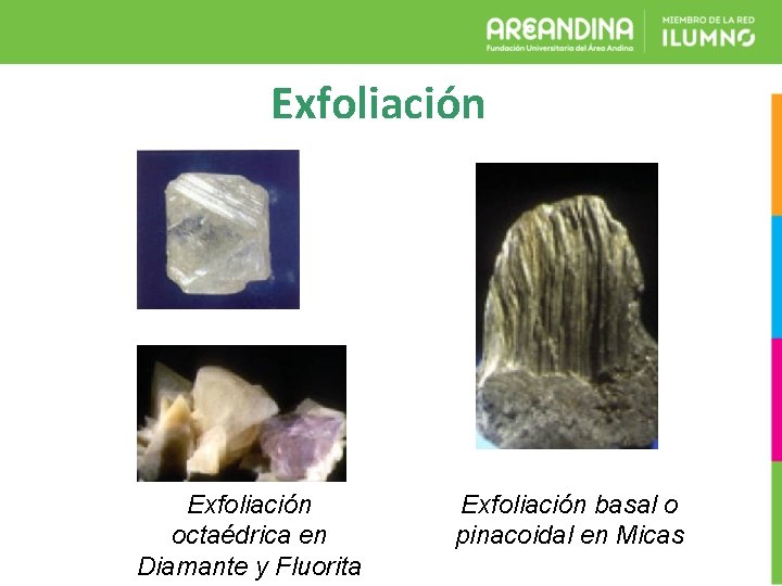 Captulo III Mineraloga Fsica Propiedades Fsicas de los