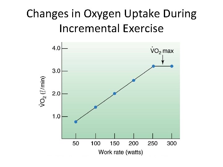 Exercise Metabolism The use of oxygen by cells