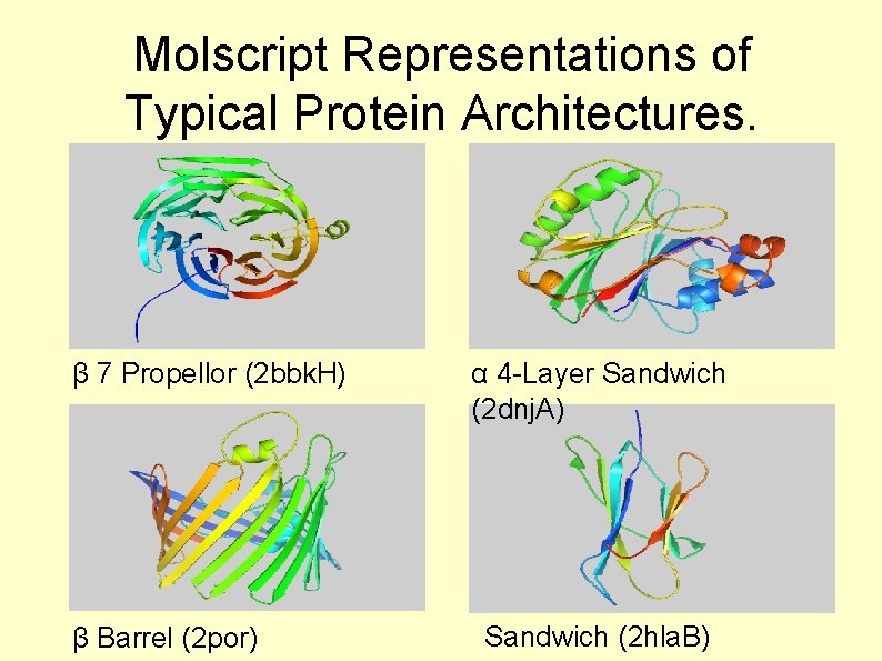 Protein structure Visualization Molecular Story Review Central Dogma