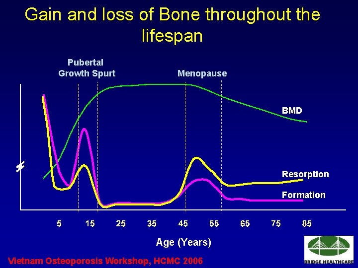 Assessment of Skeleton Health Tuan Van Nguyen and