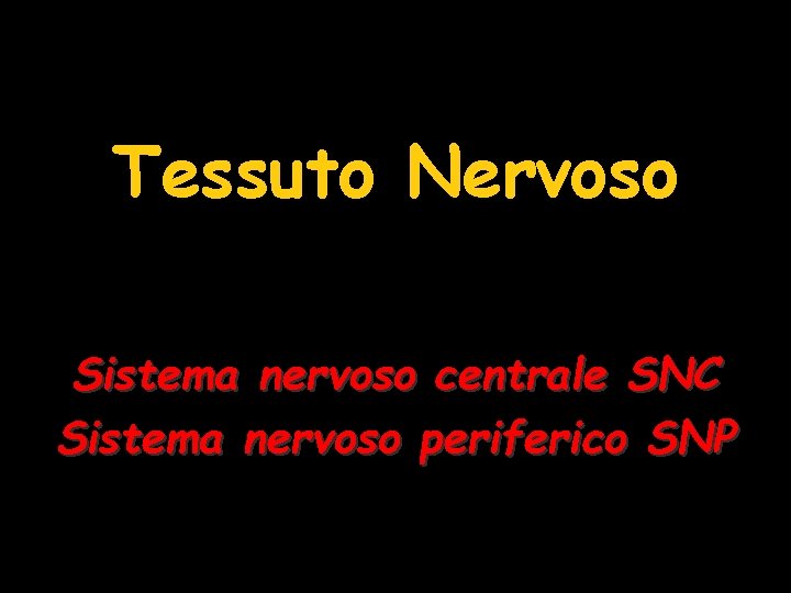 Tessuto Nervoso Sistema nervoso centrale SNC Sistema nervoso