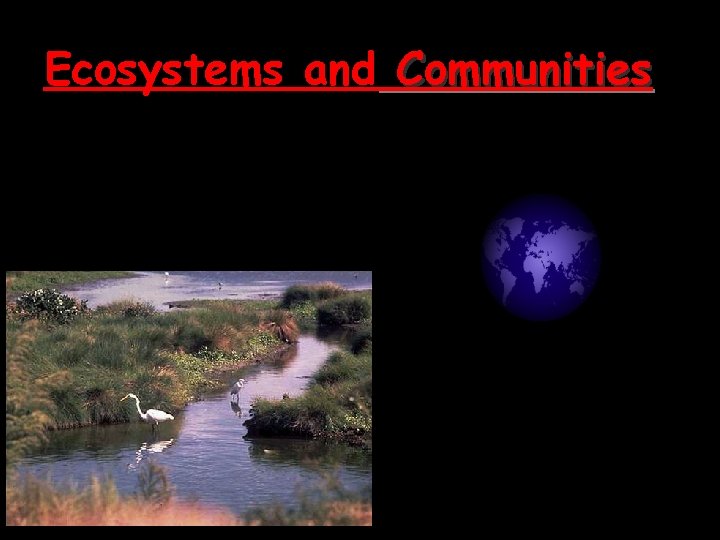 Ecosystems and Communities 4 1 Climate Weather is