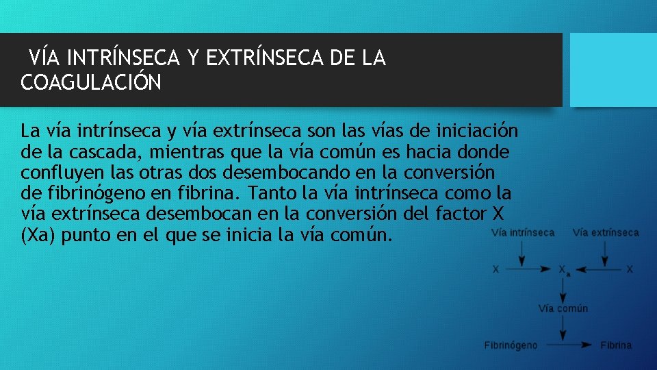 UNIVERSIDAD NACIONAL AUTONOMA DE HONDURAS VALLE DE SULA