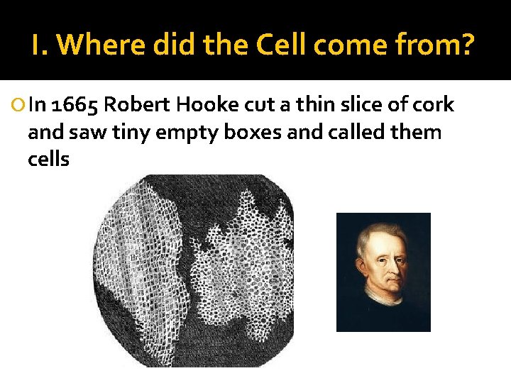 The Cell Types of cells and their organelles