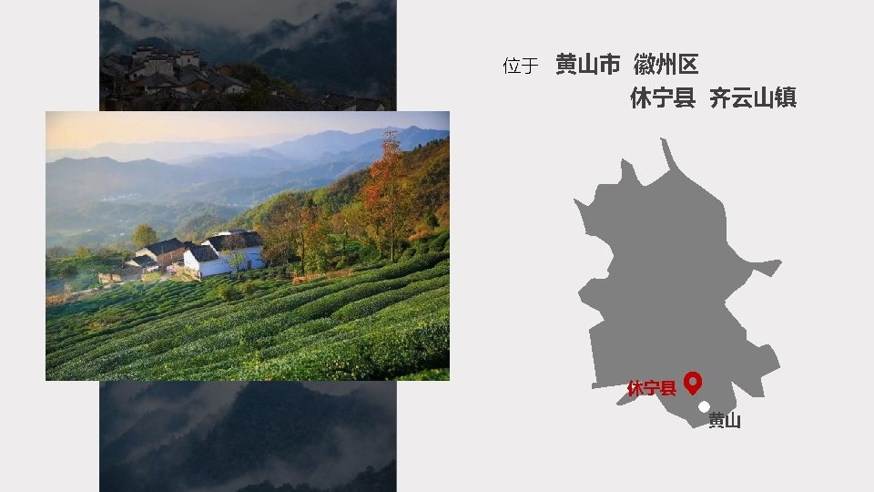 On Tea Venus her Myrtle Phoebus has his