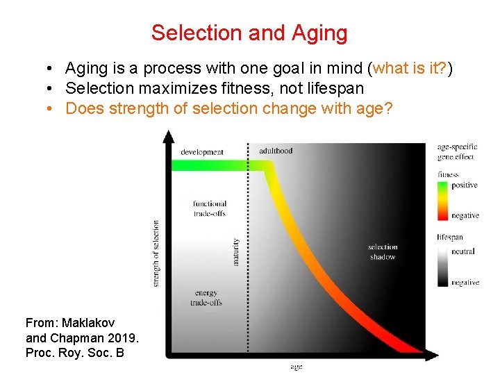 EVOLUTION OF SENESCENCE Life Expectancy by Country Components