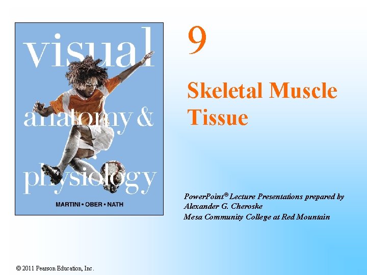9 Skeletal Muscle Tissue Power Point Lecture Presentations