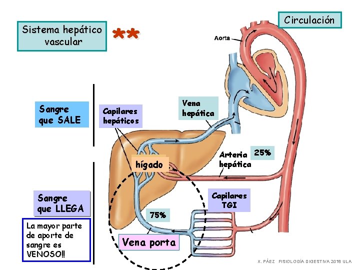 Universidad de los Andes FISIOLOGIA para MEDICINA FISIOLOGA