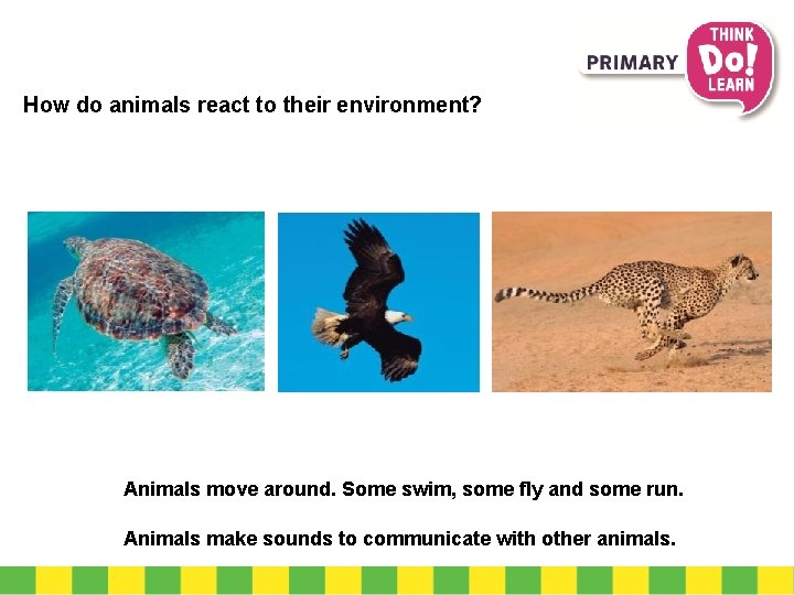 natural sciences 3 What living things and nonliving