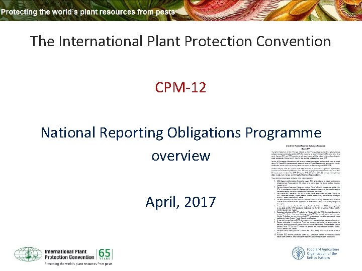 The International Plant Protection Convention CPM12 National Reporting