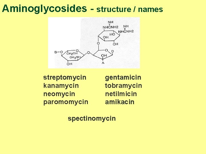Protein Synthesis Inhibitors Tetracyclines Macrolides Chloramphenicol ...