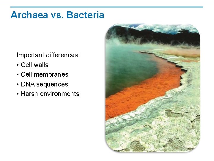 Prokaryotes Learning Objectives Explain how the two groups