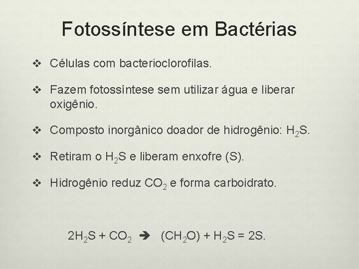 Fisiologia Vegetal Professora Ana Carolina A Clula Vegetal