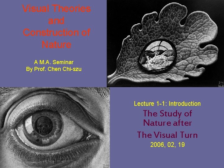 Visual Theories and Construction of Nature A M