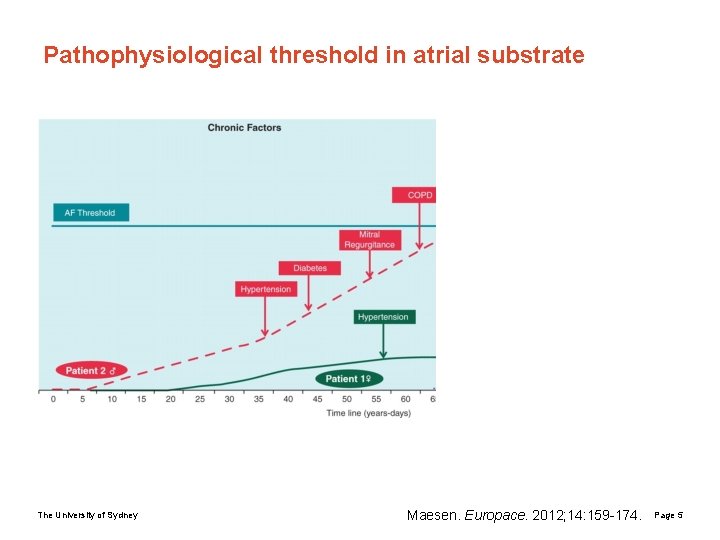 Risk factors for atrial fibrillation Dr Nicole Lowres