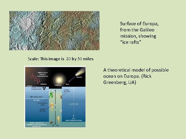 Astrobiology the origin evolution distribution and future of