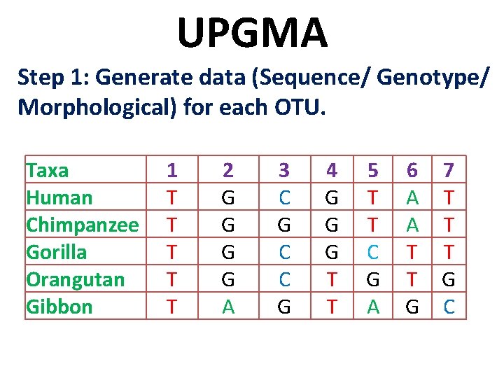 Phylogenetics and Coalescence Lab 9 October 24 2012